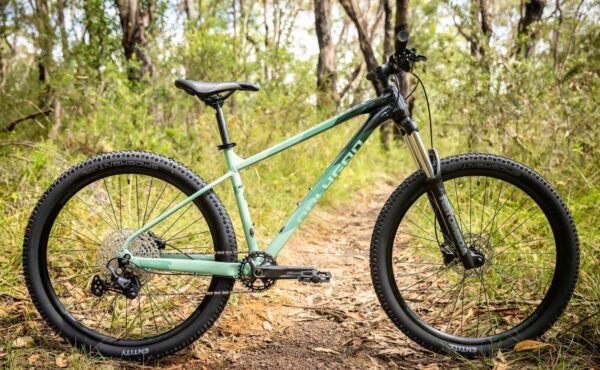 Polygon Xtrada 6, Mountain Bike | The Bike Settlement